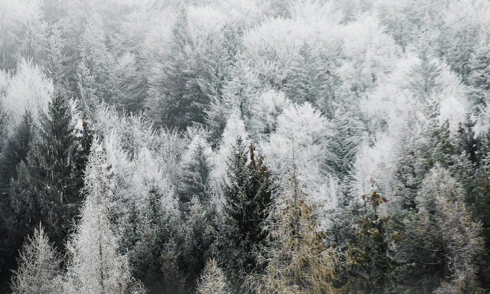 Ger puternic în România: temperaturi de până la -21°C - Vocea Sălajului